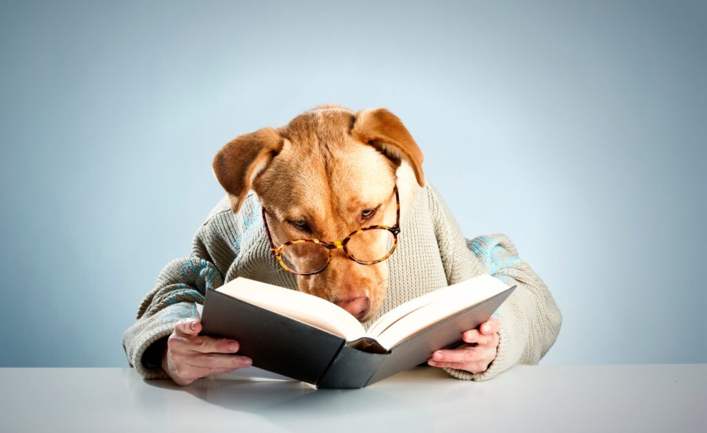 Quizizz Admin Login: Your Ultimate Guide to Game Rules and How to Play ...